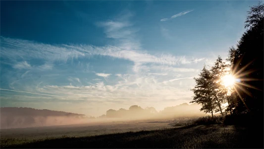 Holmen Skog, Region Mitt - Holmen