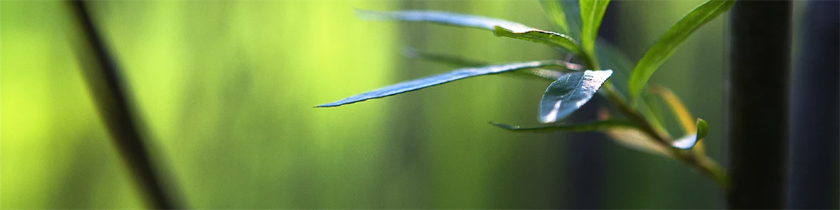 Sustainability Data, Reports & Certs | Holmen Board & Paper