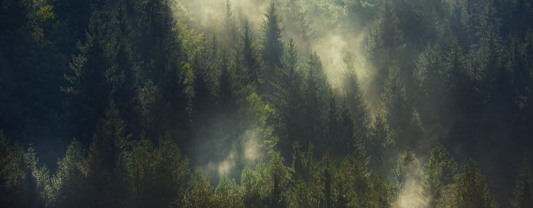 Progress through nature and technology