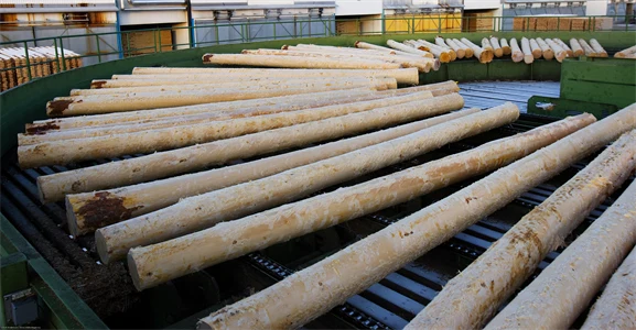 Certificate per sawmill - Holmen Wood Products