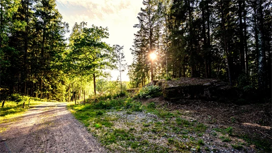 EUDR implementation status and key dates 2025