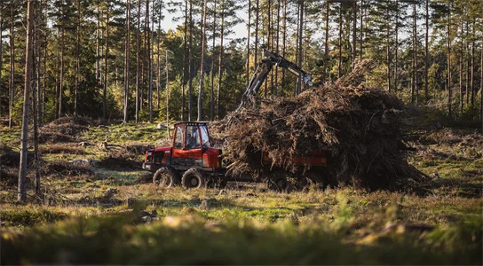 Grot ger mer, ökar intäkterna och är bra för miljön. | Holmen Skog