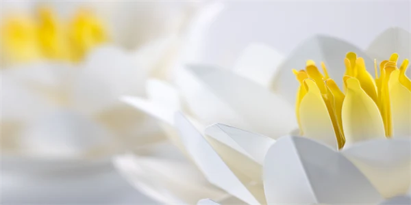 Packaging Guides | Holmen