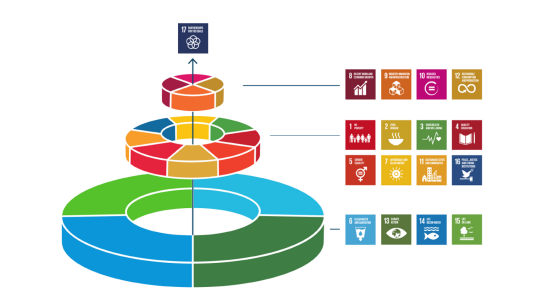 Holmen and the Sustainable Development Goals