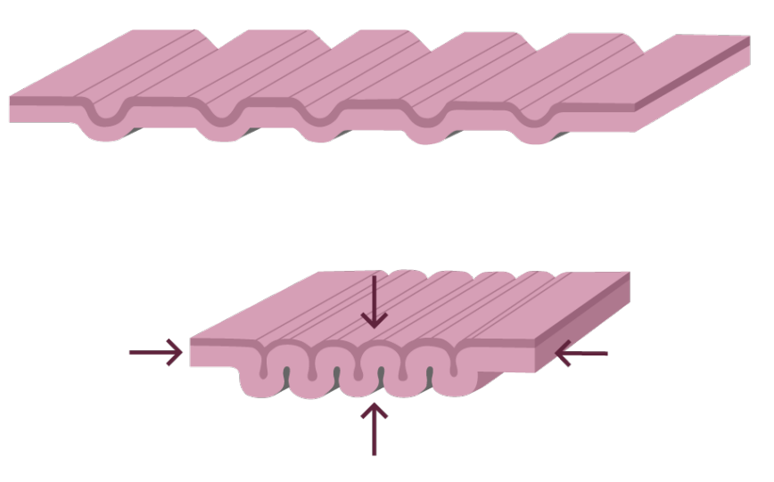 How press forming helps shape your paperboard