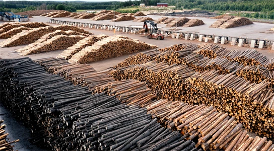 Welcome to Holmen Wood products - Holmen Wood Products