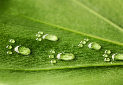 Carbon Footprint of Our Products | Holmen Board & Paper