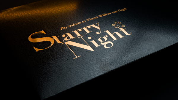 Starry Night 3D Puzzle Invercote Duo® | Holmen Board & Paper