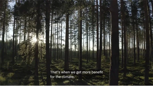 The role of the forest