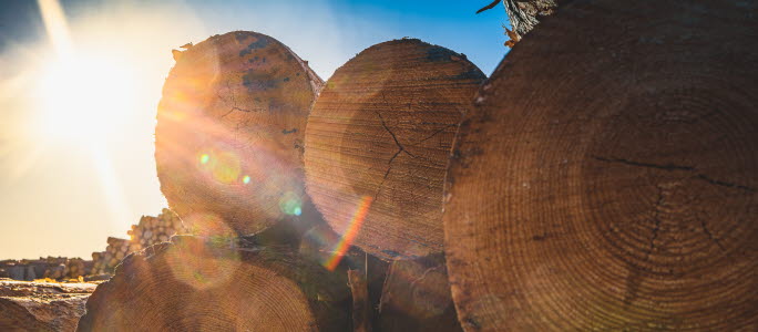 Welcome to Holmen Wood products - Holmen Wood Products