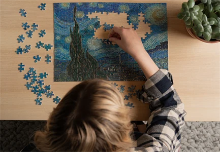 Starry Night 3D Puzzle Invercote Duo® | Holmen Board & Paper