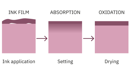 Absorption, setting and drying your packaging